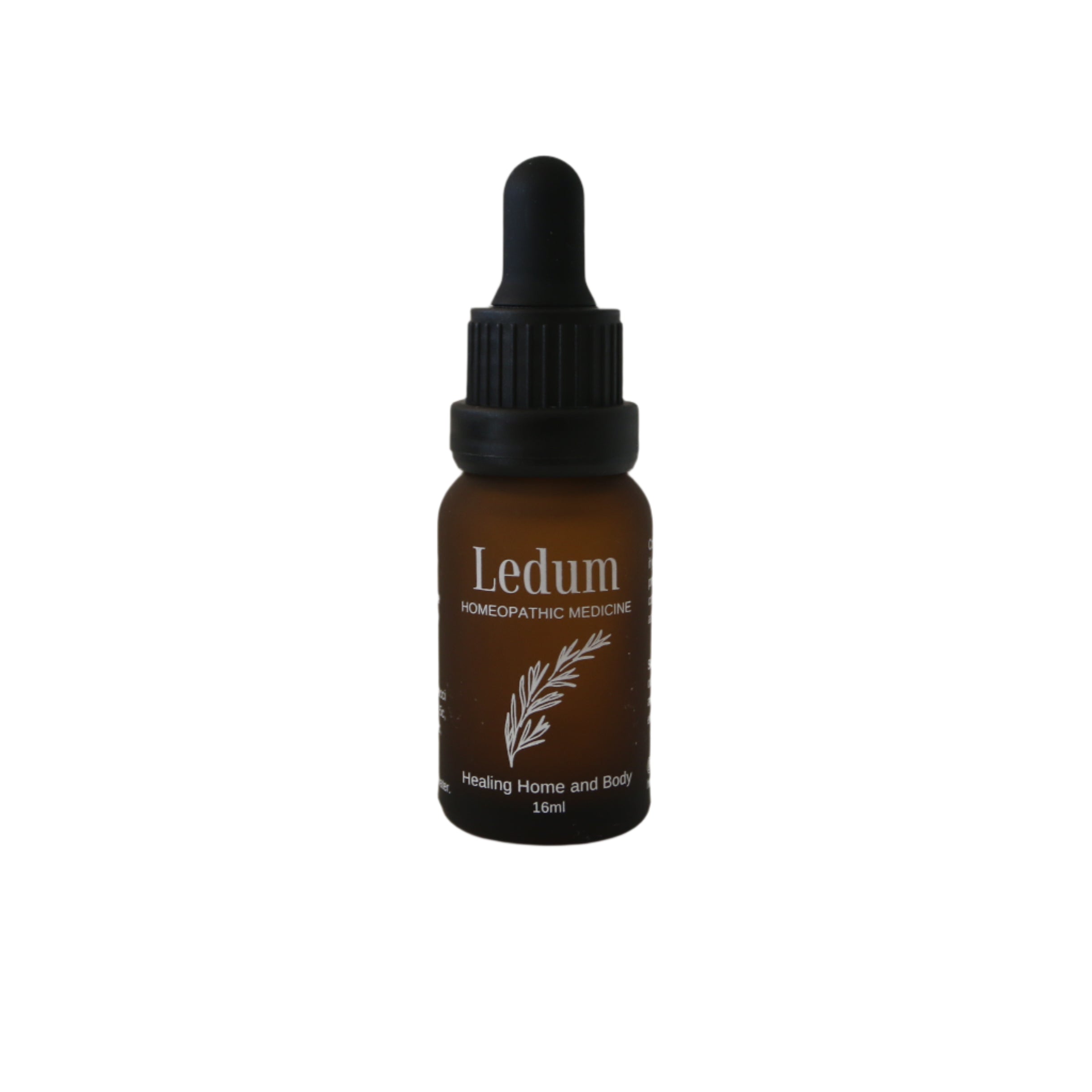 Ledum Homeopathic Remedy – Healing Home and Body